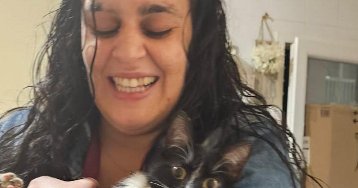 Encuentran a Hada, la gata perdida en el barrio del Ejido