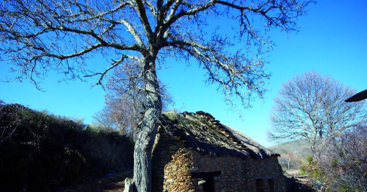 PATRIMONIO NATURAL Y CULTURAL: La Cabrera Alta tiene enciclopedia