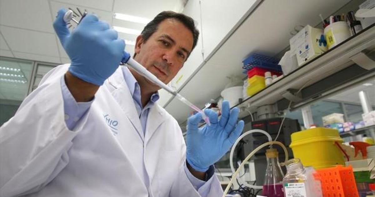 Investigadores diagnostican el tumor cerebral con un análisis del ...