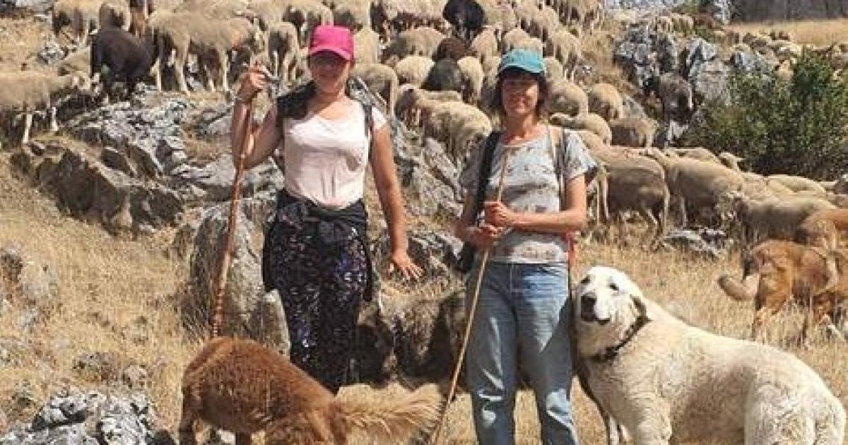 Trashumantes: «Ser pastora es una manera de habitar el campo, de ser ...
