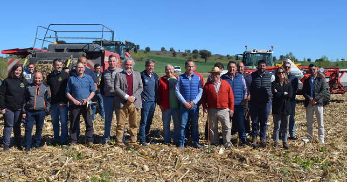 Reolum ya tiene contratado el 20% de la paja de maíz para su fábrica