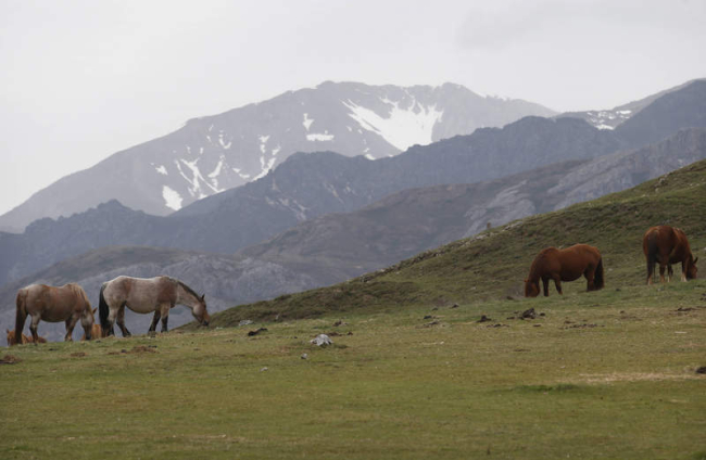 ¿De dónde proviene la expresión estar en Babia? Este es su significado