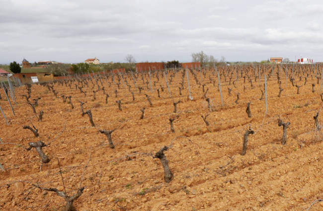 Turismo rural: De viaje a Valdevimbre