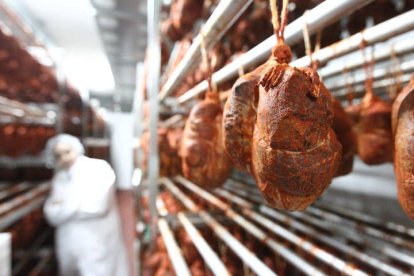 León será por primera vez antesala del Festival Nacional de Exaltación ...