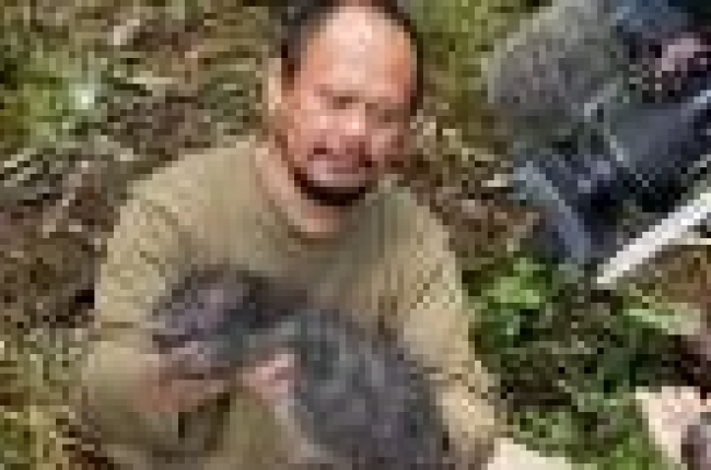 Descubren una rata gigante en Indonesia