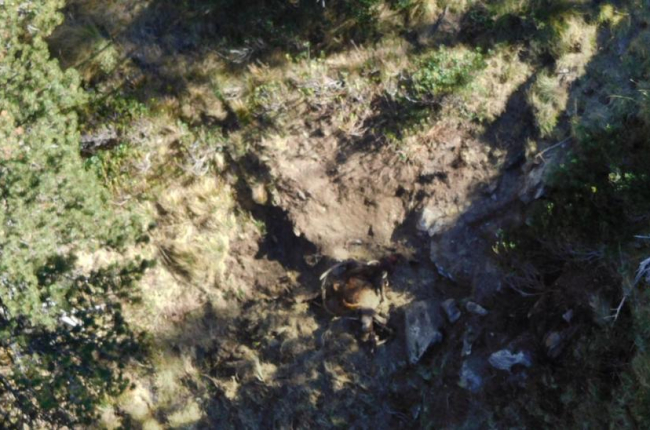 PROYECTO PIROSLIFE: Un helicóptero comprueba el buen estado de salud ...