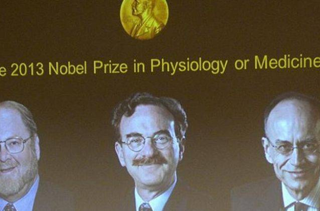 NOBEL DE MEDICINA 2013: El Nobel de Medicina, a la investigación del ...