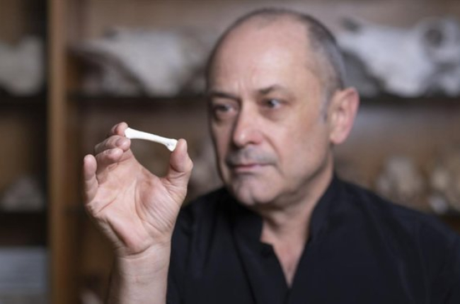 HALLAZGO SORPRENDENTE: Homo luzonensis, la nueva especie de humanos ...
