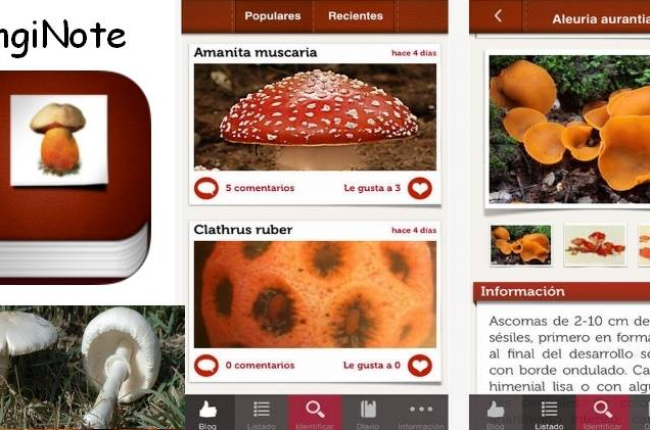 INICIATIVA DEL REAL JARDÍN BOTÁNICO: Una aplicación para móviles permitirá identificar hongos ...