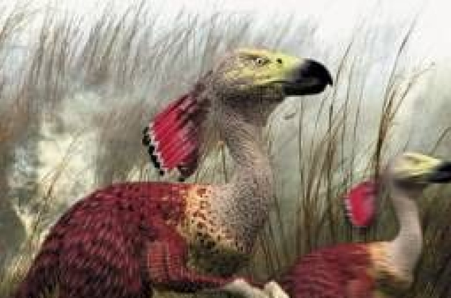 Denis Laming ha diseñado el nuevo pabellón, un Arca de Noé del futuro