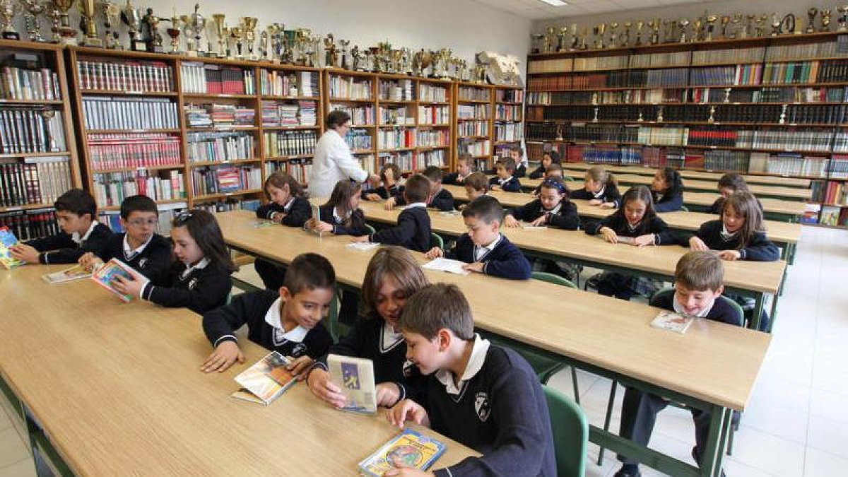 'Releo Plus' hasta el 19 de diciembre: la guía definitiva para ...