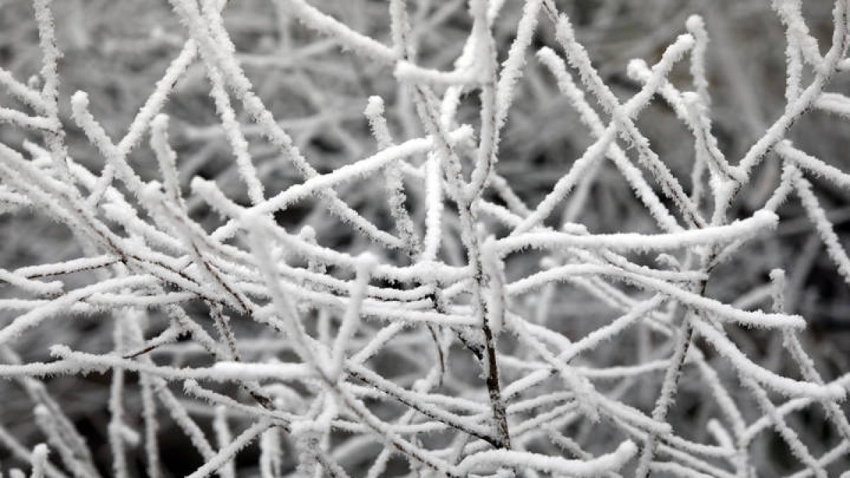 Temperaturas 'extremadamente' frías para despedir el año en León ...