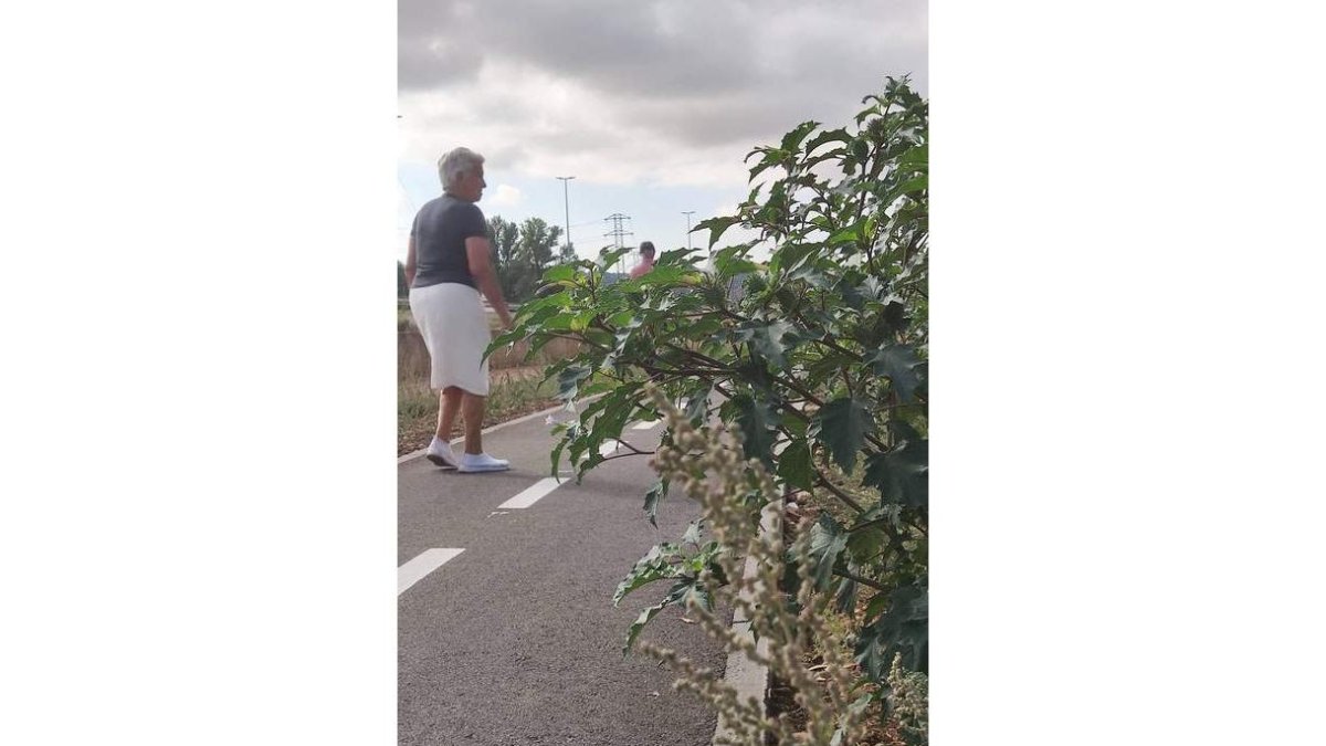 Delirios, insuficiencia respiratoria, colapso vascular y muerte