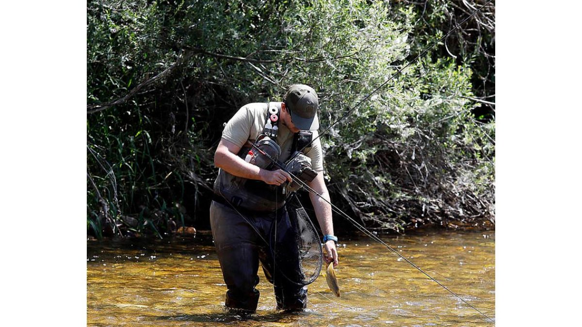 Conferencia para salvar la pesca a la leonesa con pluma de gallo del ...