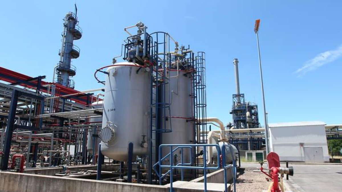 Vitatene recibirá de la Junta 613.000 euros para continuar con su ...