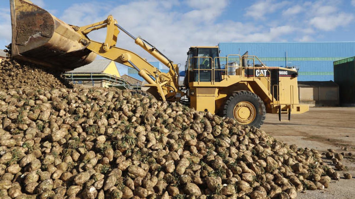 El modelo de Azucarera