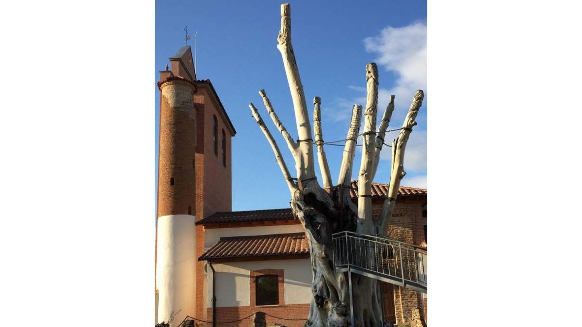 El Negrillón de Velilla de la Reina resucita en 3D