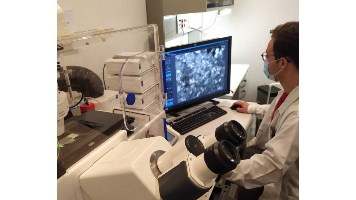 LUCHA CONTRA LA CEGUERA