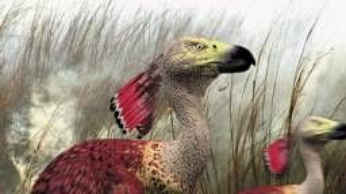 Denis Laming ha diseñado el nuevo pabellón, un Arca de Noé del futuro