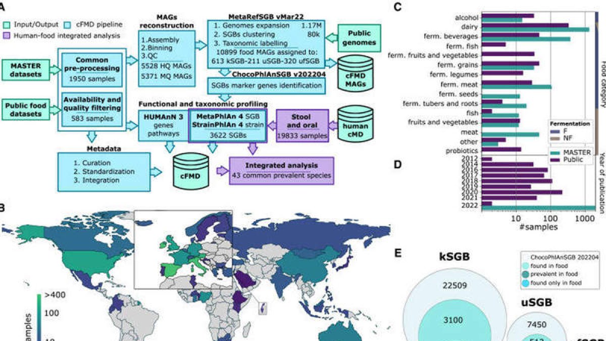 Base de datos de los metagenomas