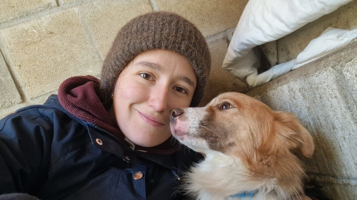 Adopta un perro: Jack, el perro que dejaron tirado en Nochebuena