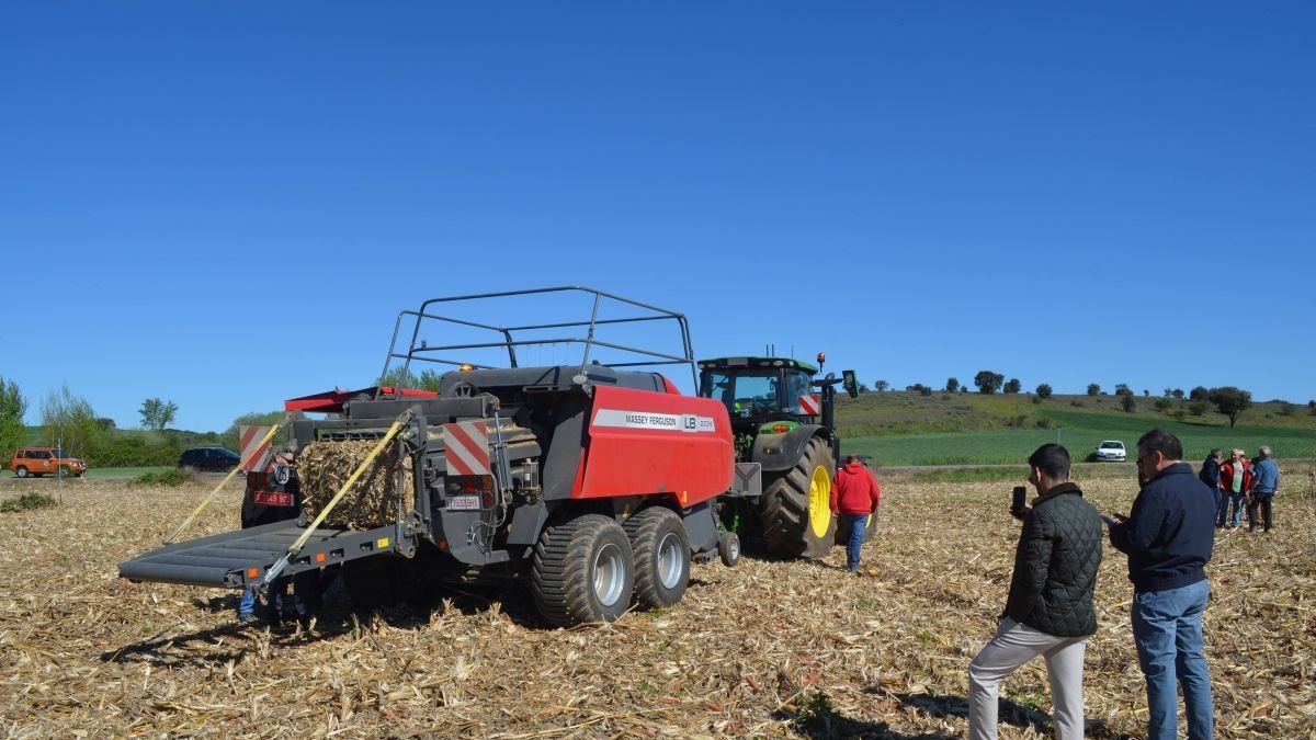 La Robla Green logra autorización para su planta de biomasa