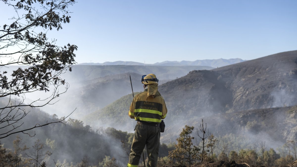 La Junta invertirá 2,8 millones en equipos de protección para el ...