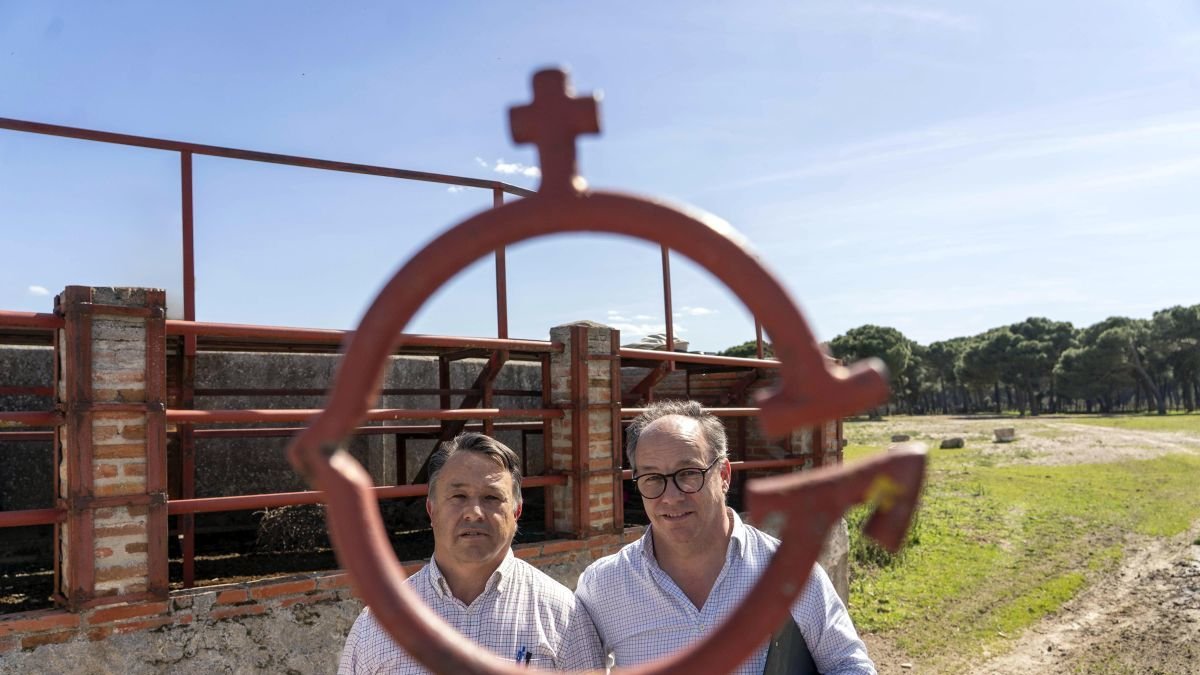 El Raso de Portillo: la historia viva de la tauromaquia castellana