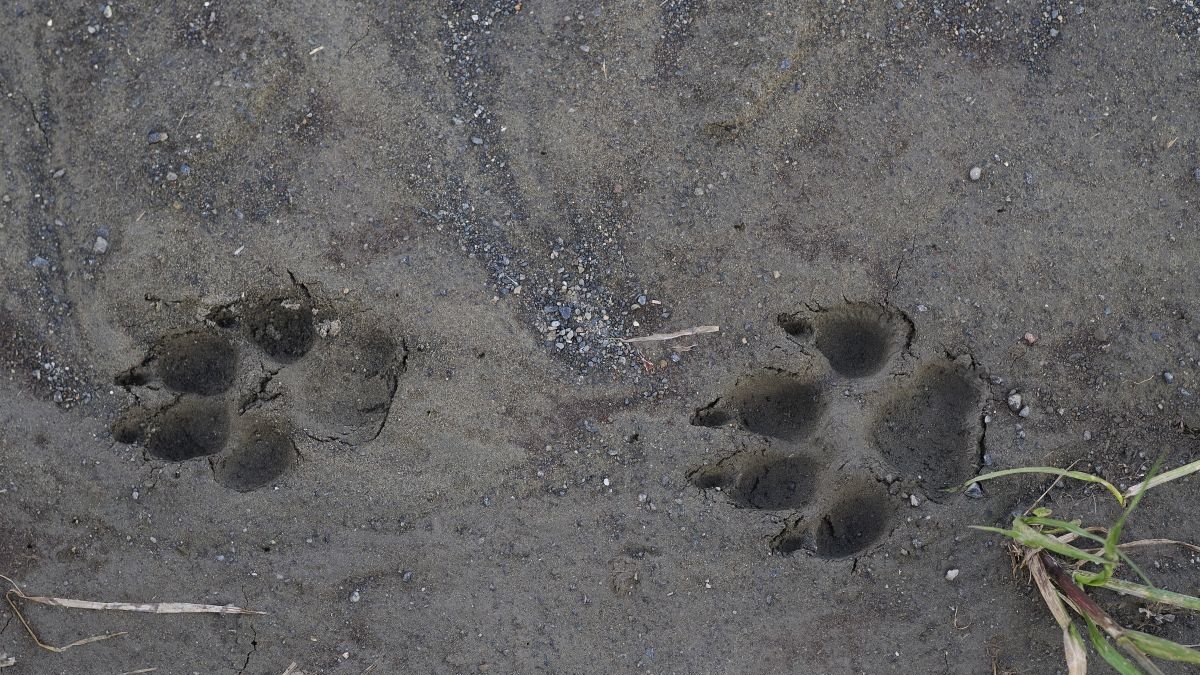 Bokep indonesia pasutri everything about this felt kind of