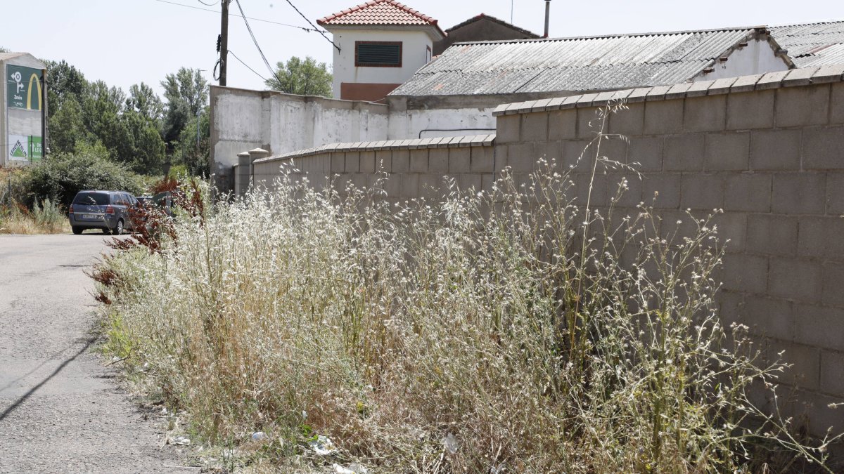 Armunia se une para exigir «los mismos derechos que cualquier barrio de ...