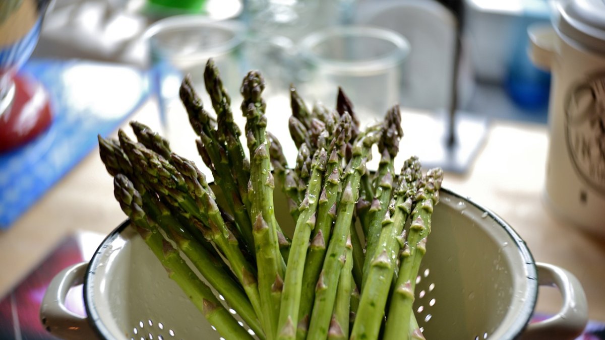 Ashley resch videos porno i never imagined I received