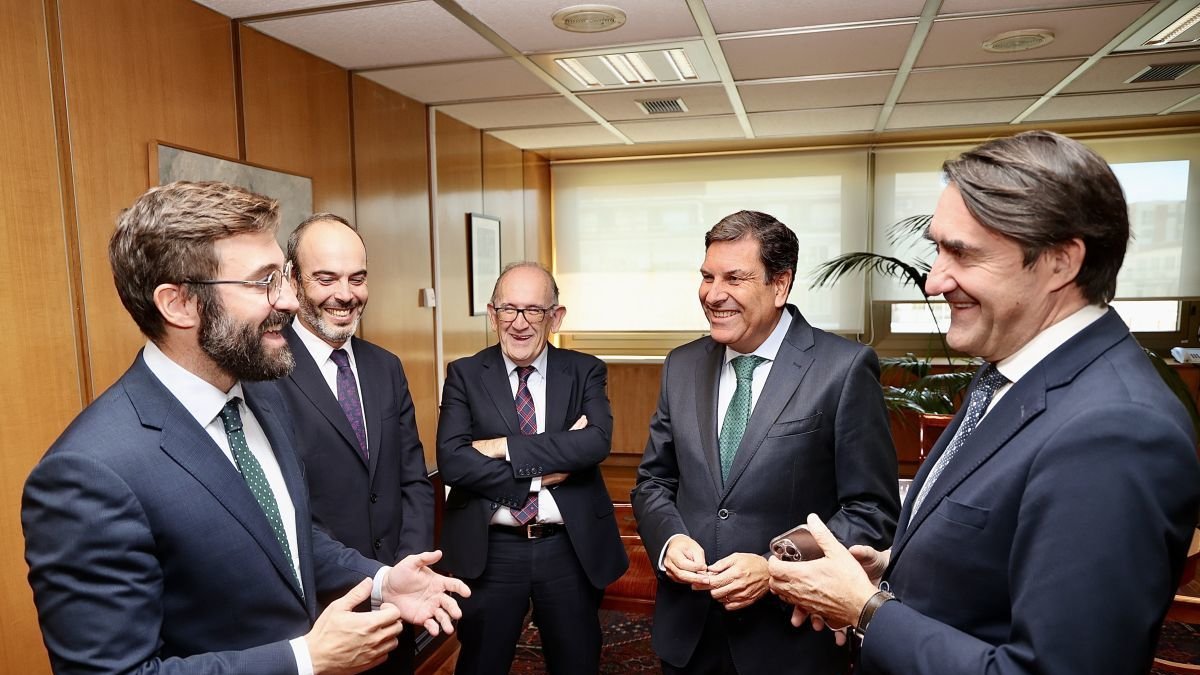 La Junta presentará alegaciones a la planificación de electricidad 2030