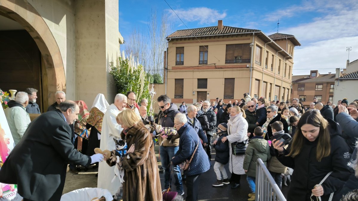 Mascotas, cotinos y fiesta para honrar a San Antón en Astorga
