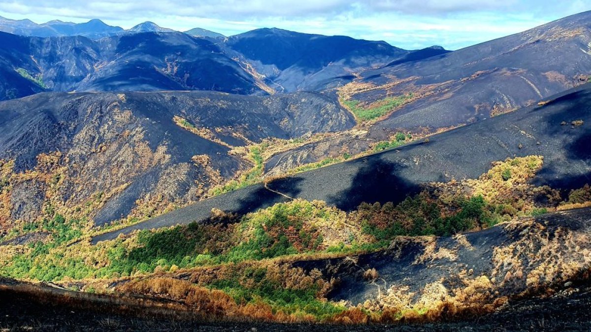 El Alto Sil, libre de parques eólicos