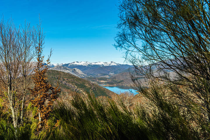 Prioro y el sendero desconocido