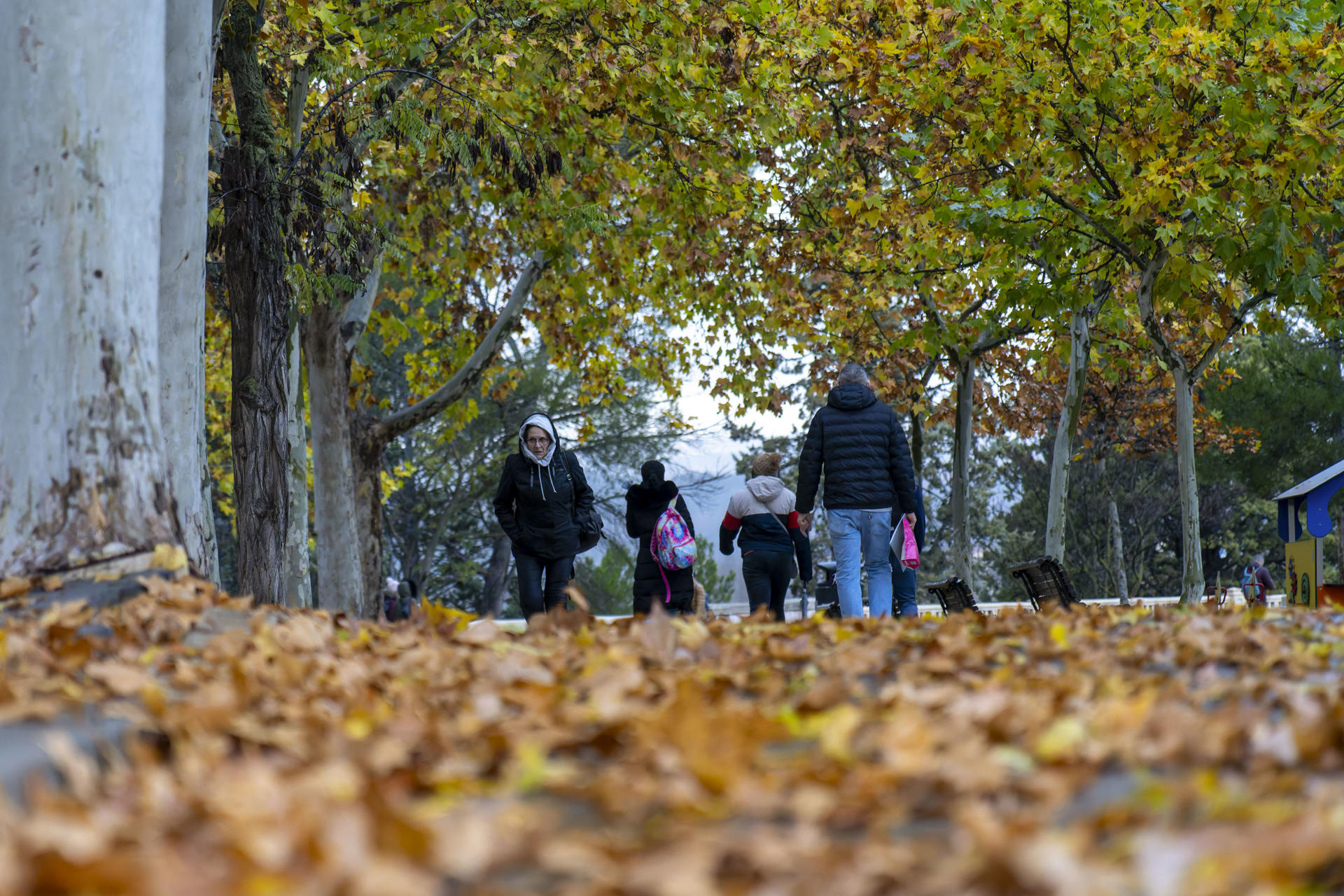 Este es el minuto exacto en el que comienza hoy el otoño en León, según ...
