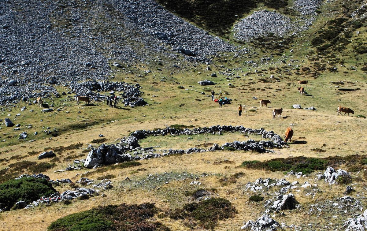 Los pastos de Babia superan en calidad al Pirineo y a otras zonas de la cordillera