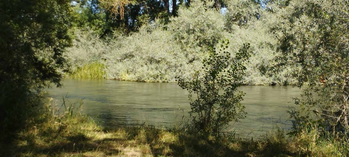 Dos riberas del Esla que llevan décadas esperando quedar unidas por un ...