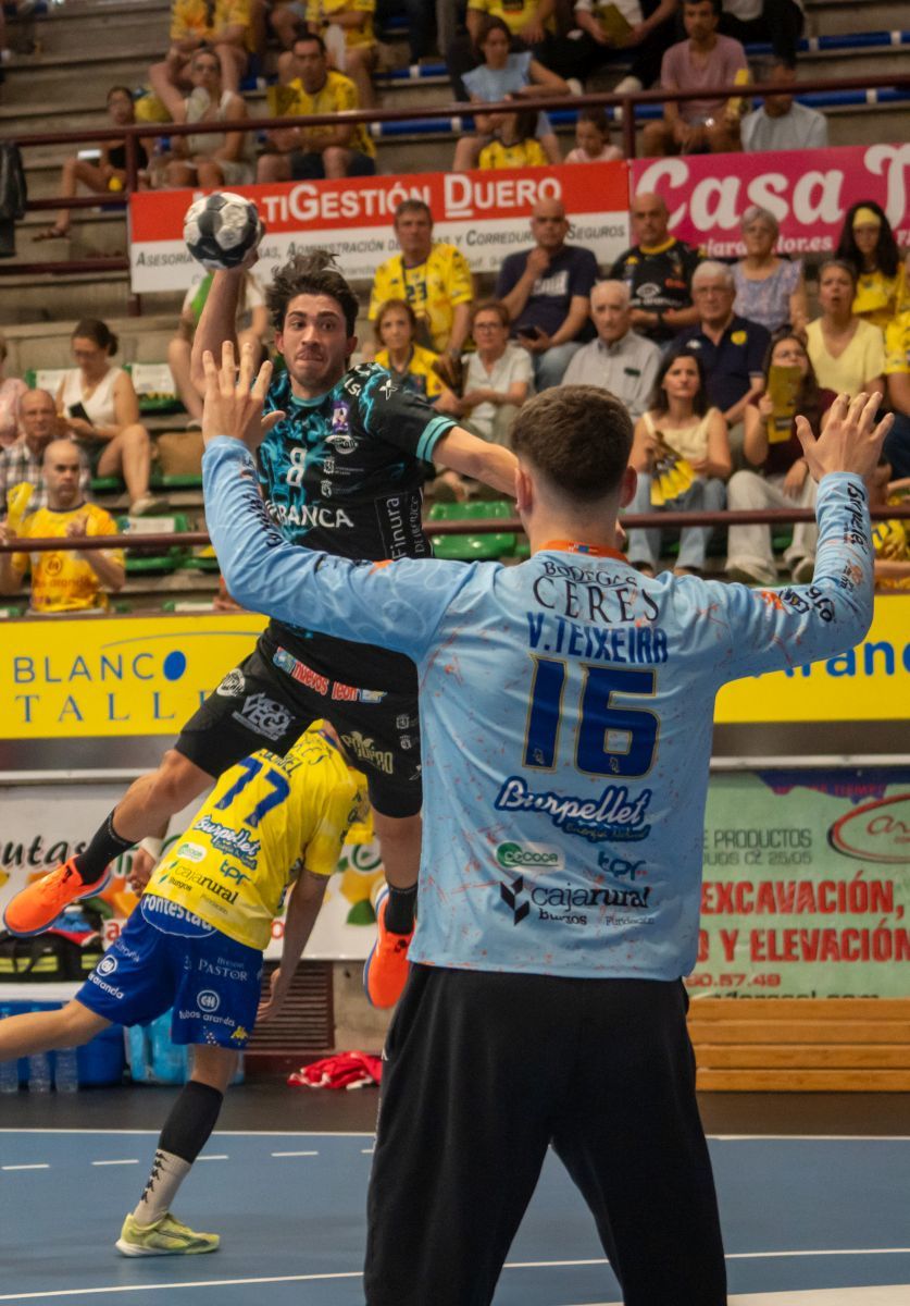Ademar León cae en su visita a Aranda de Duero